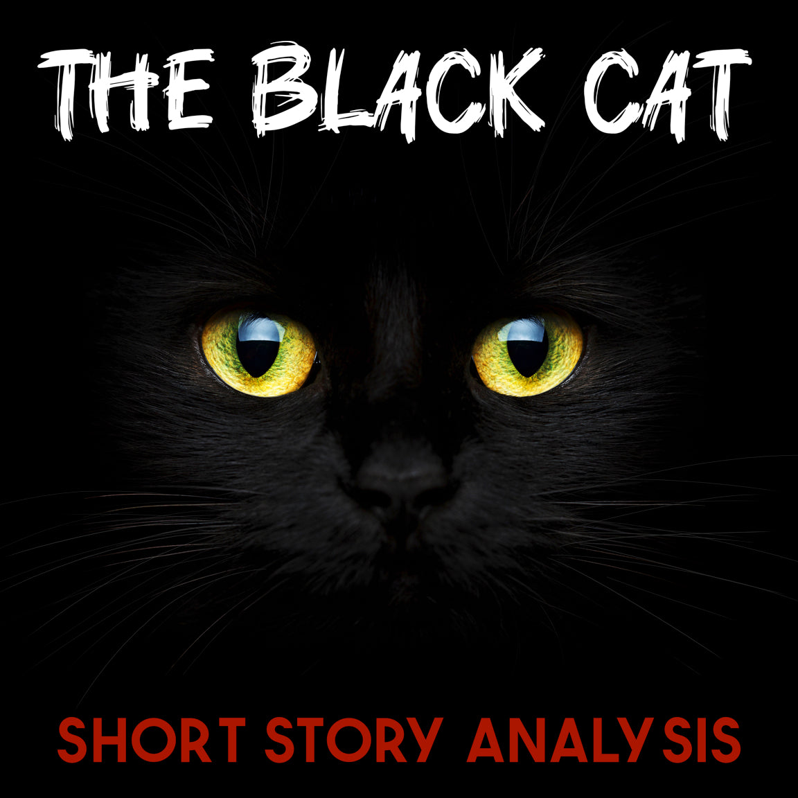 The Black Cat Short Story Analysis – Chomping at the Lit